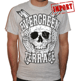 Evergreen Terrace Tshirt - Skull Wings and other cool Evergreen Terrace ...